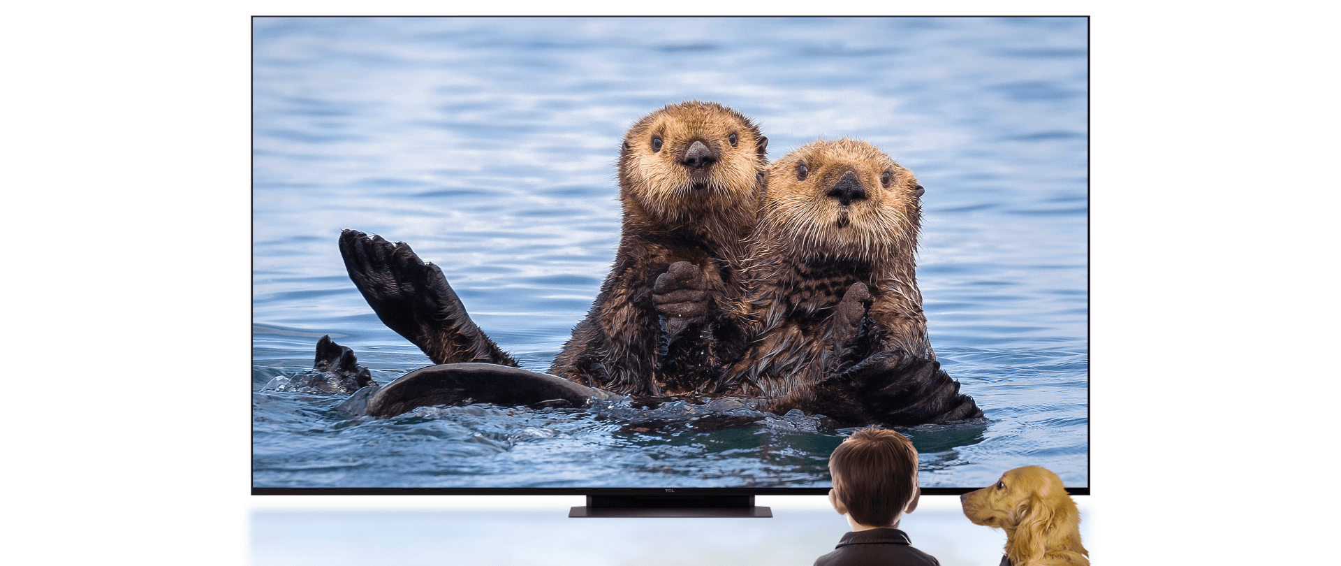 بث الشاشة على التلفاز: الدليل الشامل 2022 (Android، Apple وويندوز)