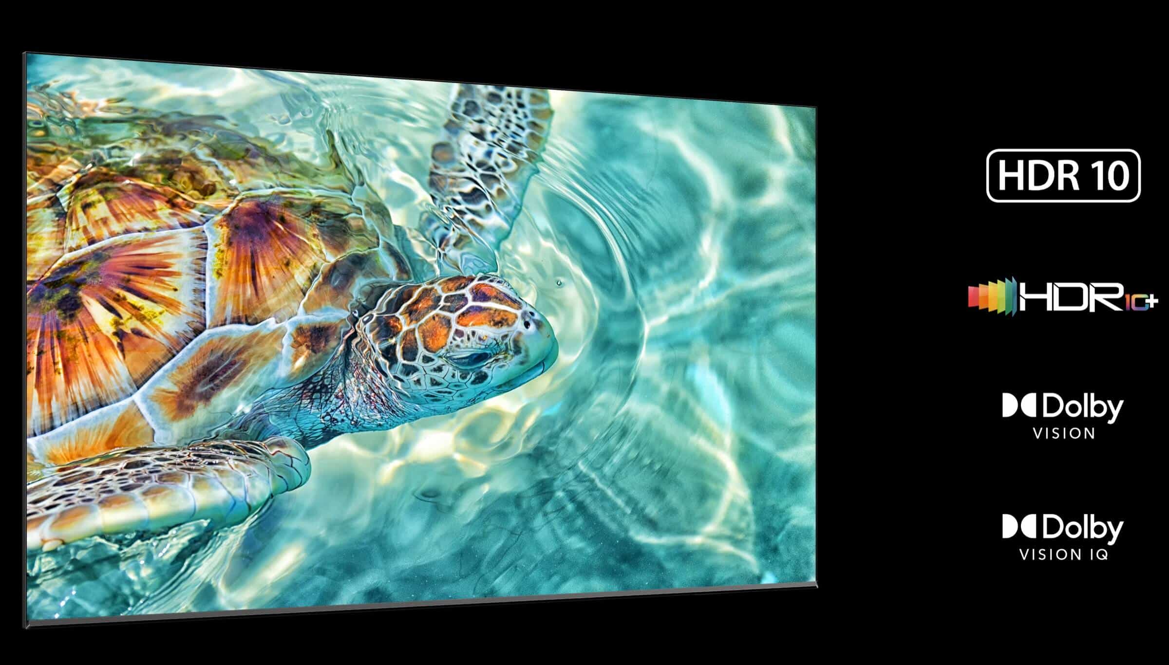 TCL Mini LED รอบด้านเรื่องทีวี