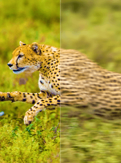 TCL P79B 4K UHD Google TV | AiPQ™ PROCESSOR - TCL Vietnam