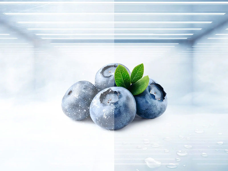 P204SDW 204L Vertical Freezer