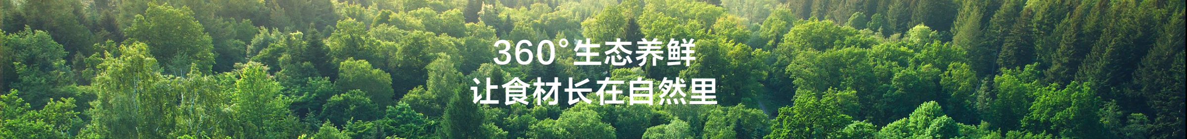 时鲜系列冰箱R320P8-D