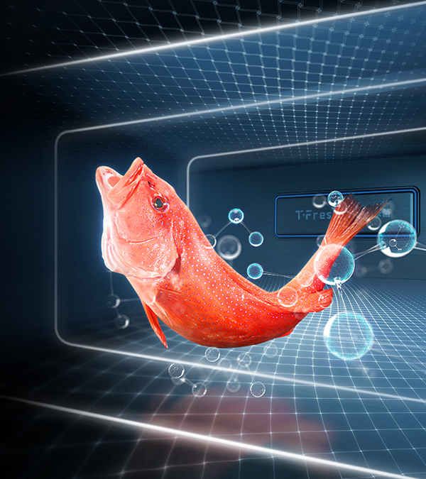 TCL R460P12-UQ 十字四门冰箱-超薄零嵌 | TCL官网