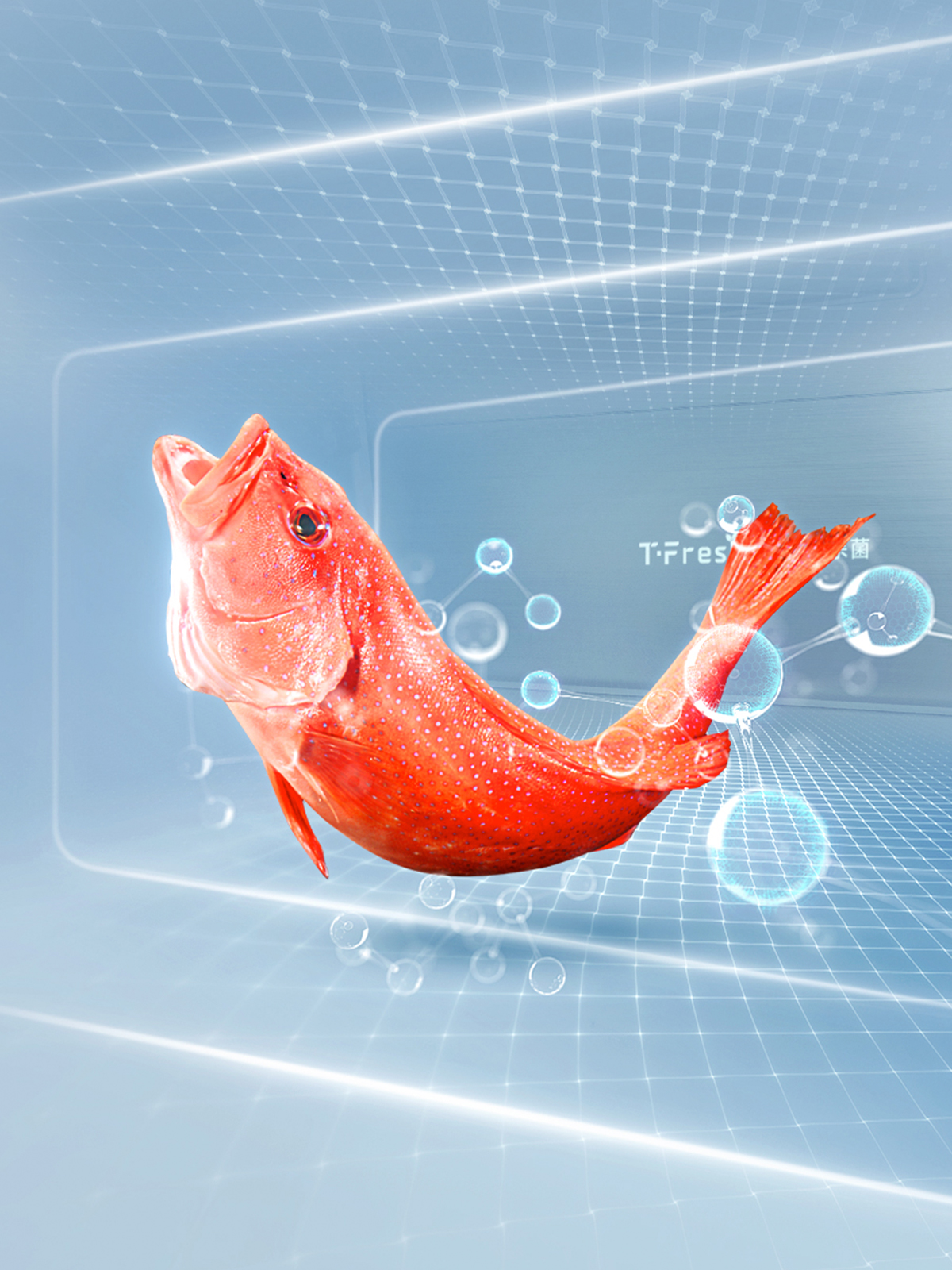 TCL R461P12-UQ 十字四门冰箱-超薄零嵌 | TCL官网