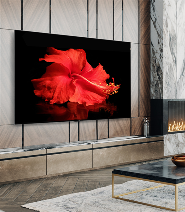 TCL C11-65英寸QLED液晶电视-光色猎手 | TCL官网