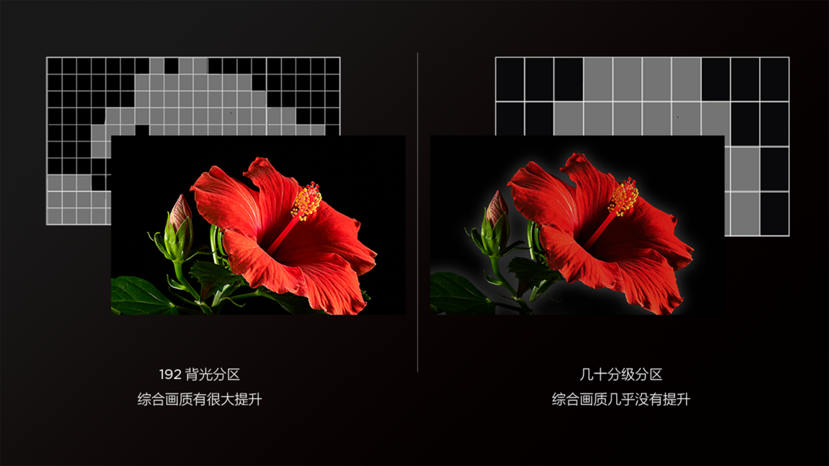 TCL C11-85英寸QLED大屏电视-光色猎手 | TCL官网