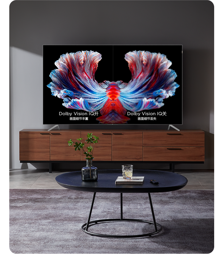 TCL C11-75英寸QLED大屏电视-光色猎手 | TCL官网