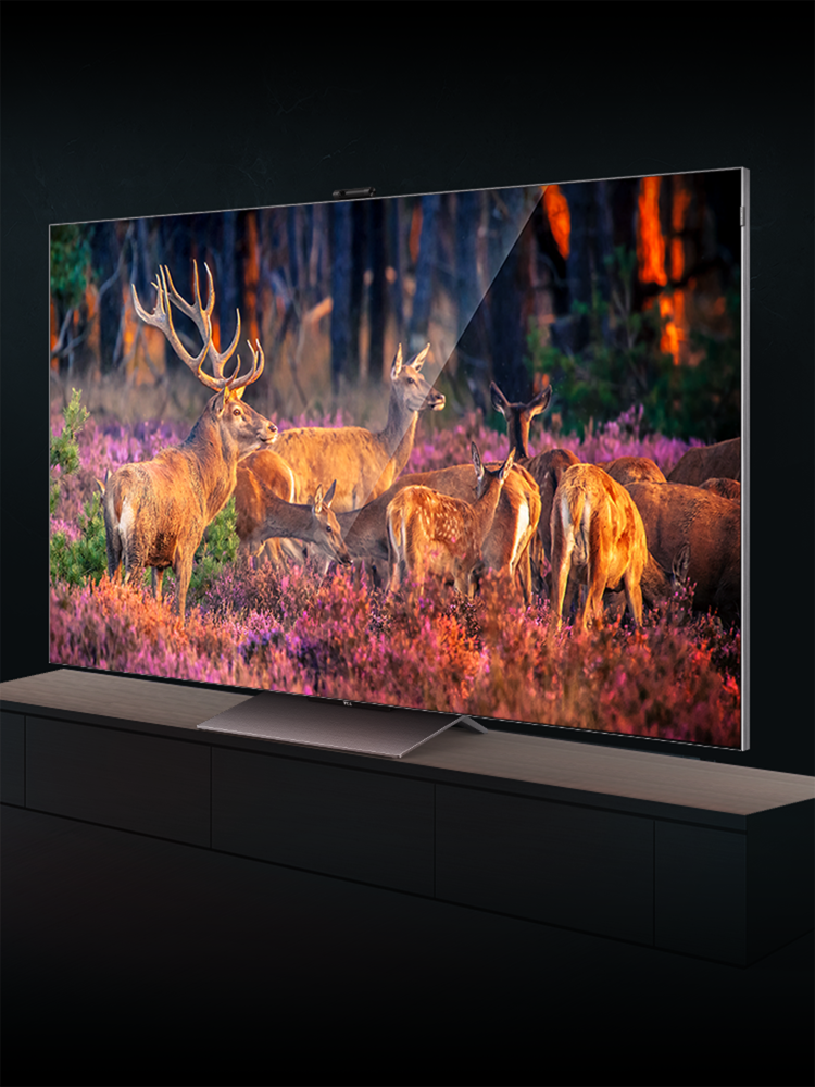 TCL C12-65英寸QD-Mini LED电视-全面屏高刷电视 | TCL官网
