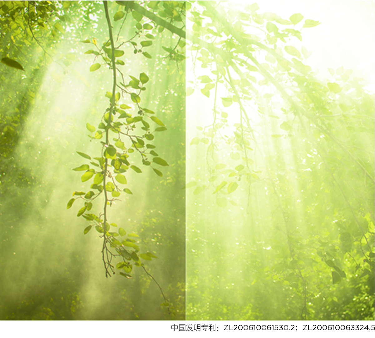 TCL55英寸商用电视-55G60E-AI智屏 | TCL官网