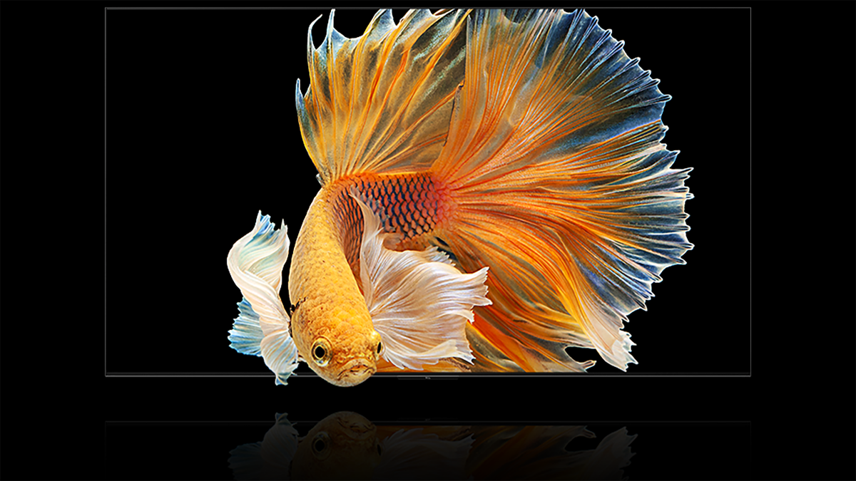 TCL 55英寸T7E-144Hz真高刷电视-影院级视听 | TCL官网