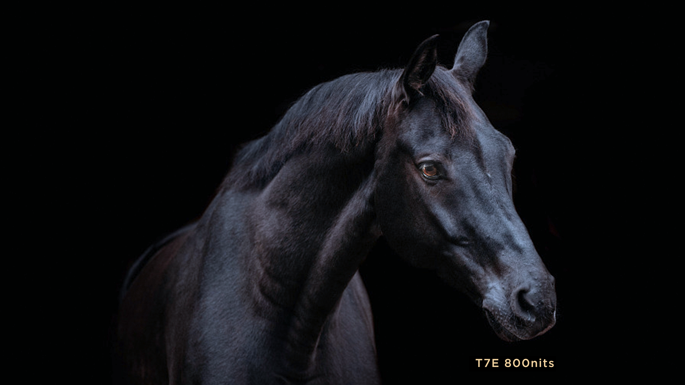 TCL 98英寸T7E巨幕电视-144Hz真高刷巨幕 | TCL官网