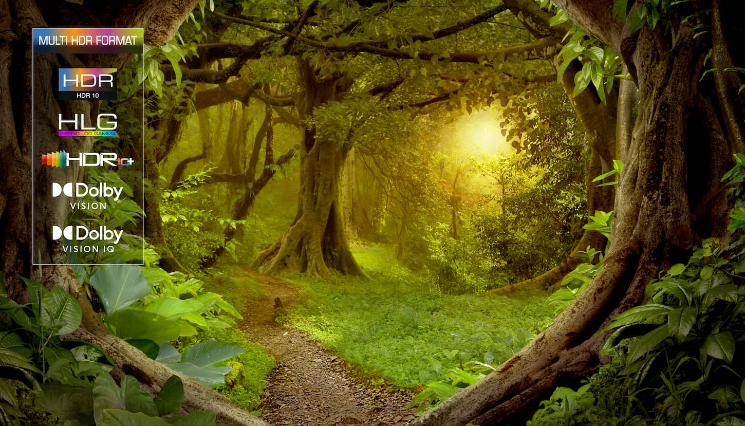 QD-Mini LED 4K TV 98/85/75/65 inches - C855 - TCL Spain