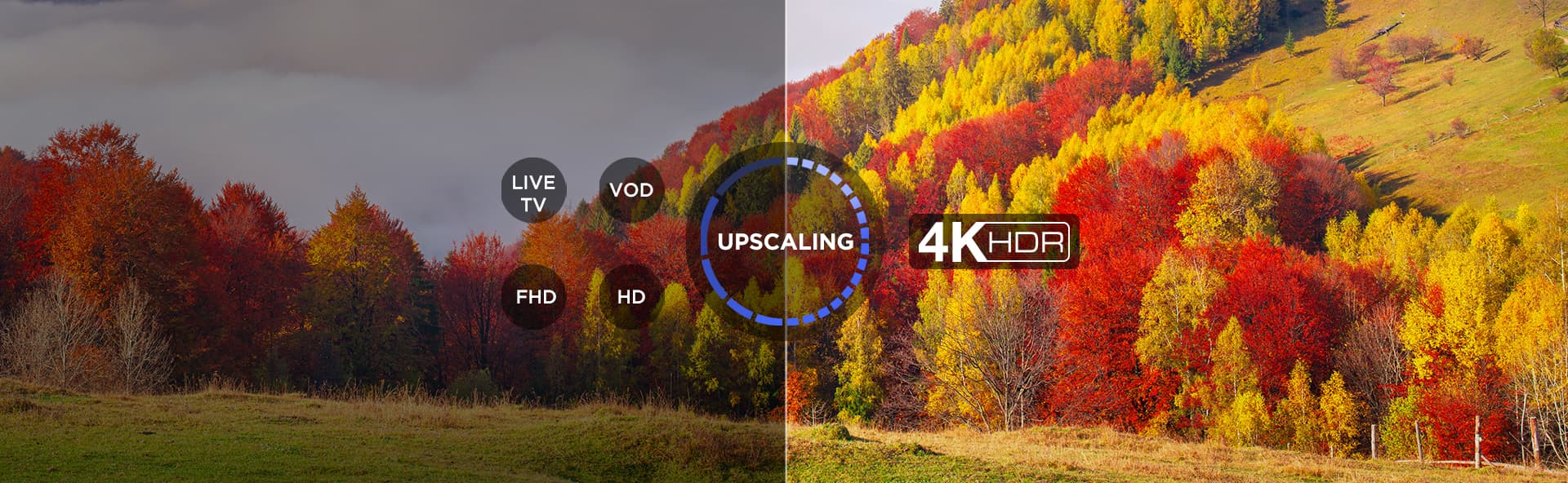 7 Facts You Might Not Know About Real 4K